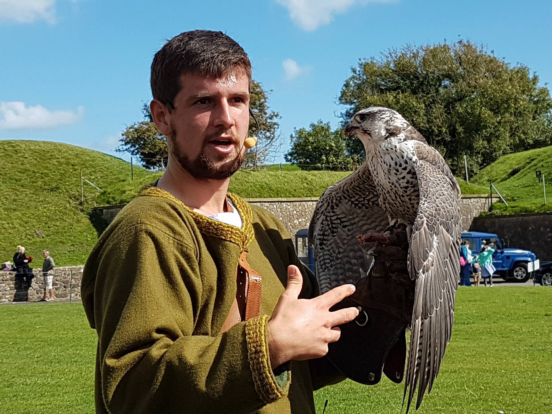 Tudor falconry at Dover Castle - Autumn's Mummy