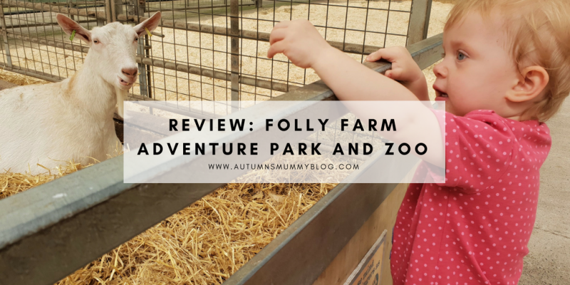 Review: Folly Farm Adventure Park and Zoo - Autumn's Mummy